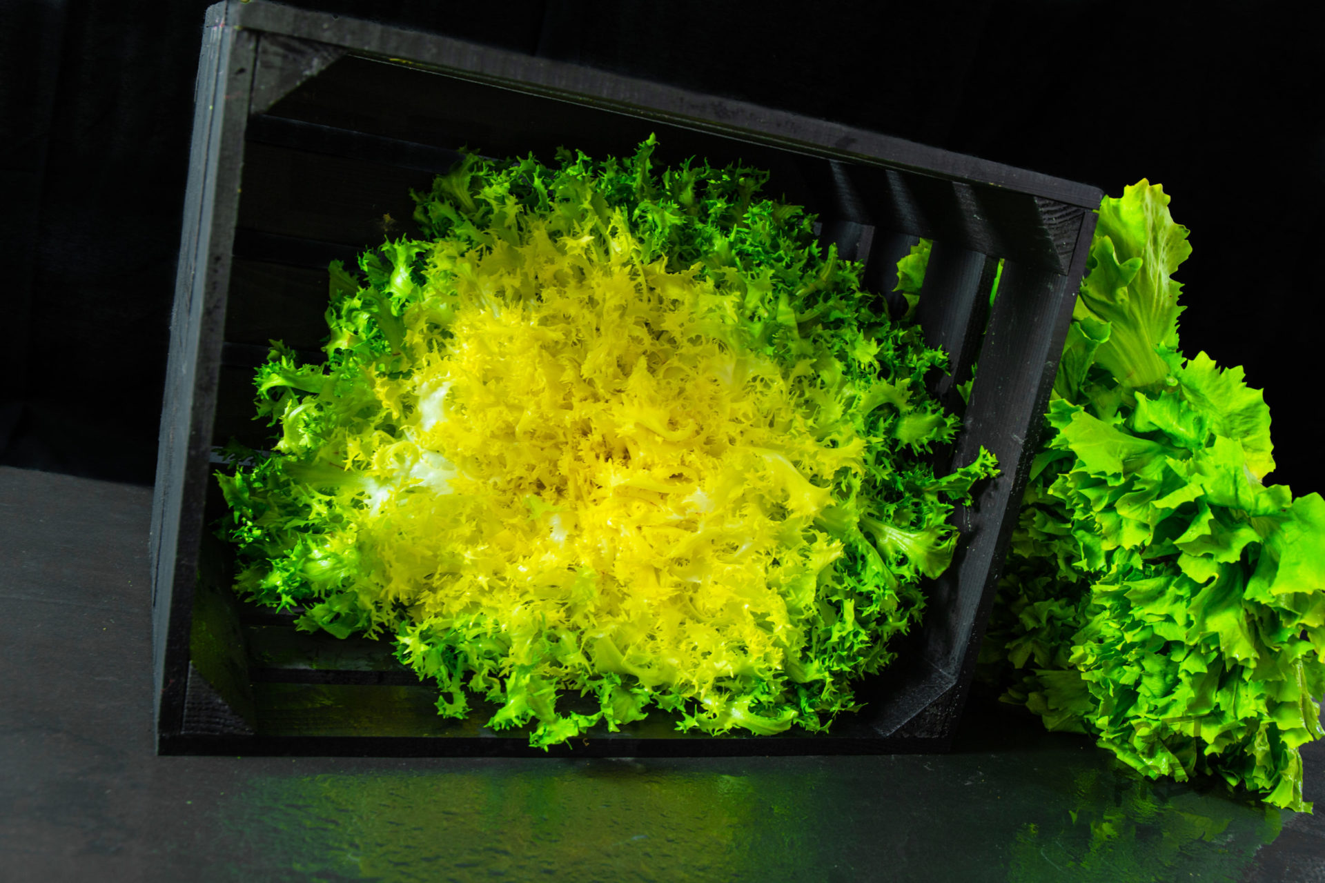 Friseé - Regio Frucht GmbH